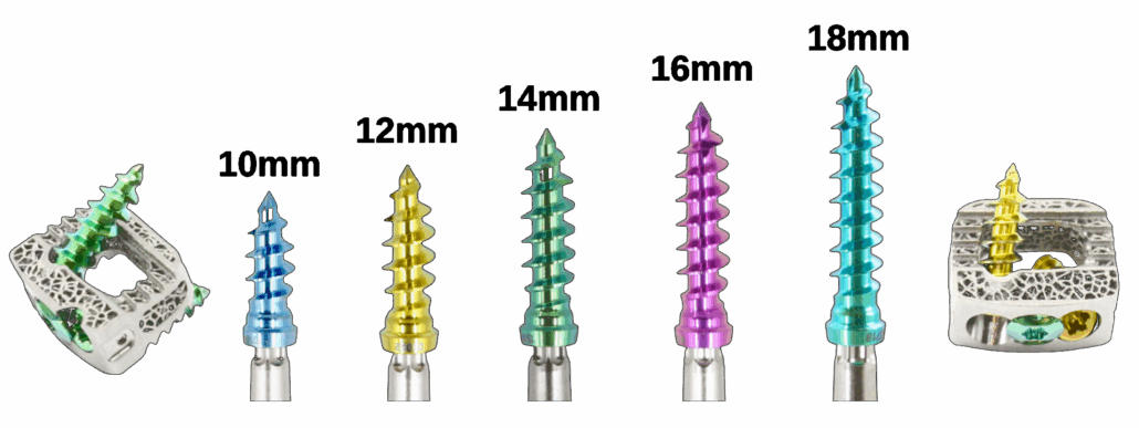 Cervical Stand-Alone | Eminent Spine
